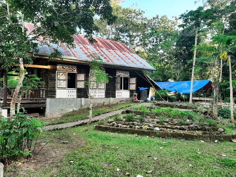 Bohol Biodiversity Complex (Bilar, Bohol) – B.L.A.S.T. – Live Life to ...