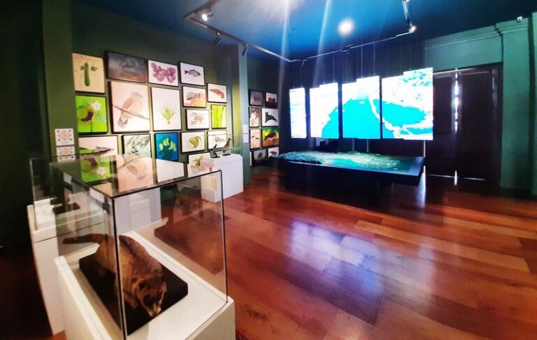 Banaan Pangasinan Provincial Museum (Lingayen) – B.L.A.S.T. – Live Life ...